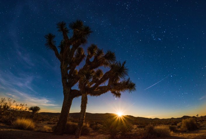 Things To Do In Joshua Tree National Park - Travel Caffeine