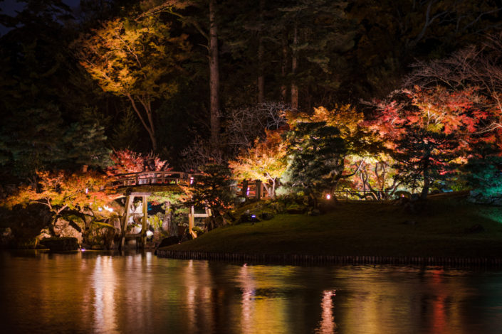 Autumn Illumination at Hikone Castle & Genkyuen Garden - Travel Caffeine