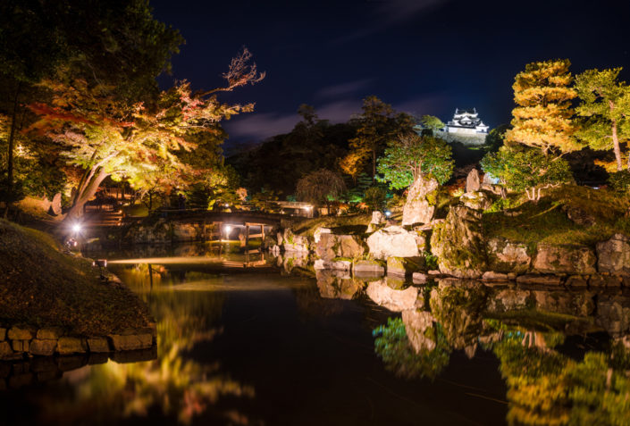 Autumn Illumination at Hikone Castle & Genkyuen Garden - Travel Caffeine