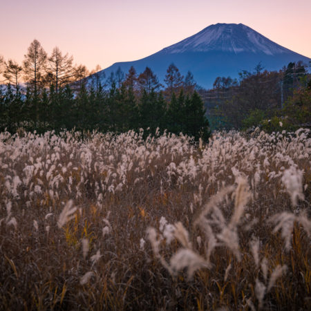 Tips & Things to Do in Fall at Mount Fuji - Travel Caffeine