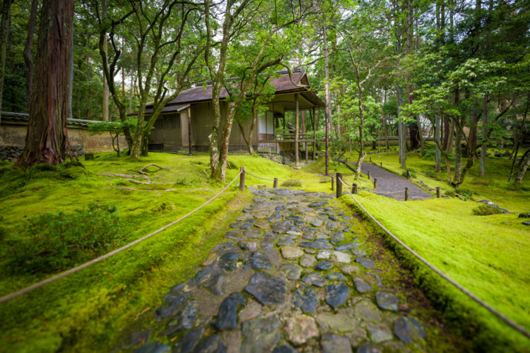 Kyoto's Moss Temple: Steve Jobs' Favorite Place in Japan - Travel Caffeine