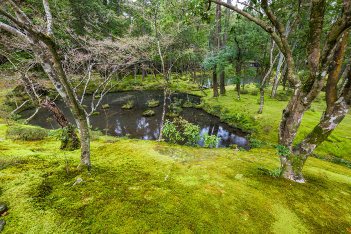 Kyoto's Moss Temple: Steve Jobs' Favorite Place in Japan - Travel Caffeine