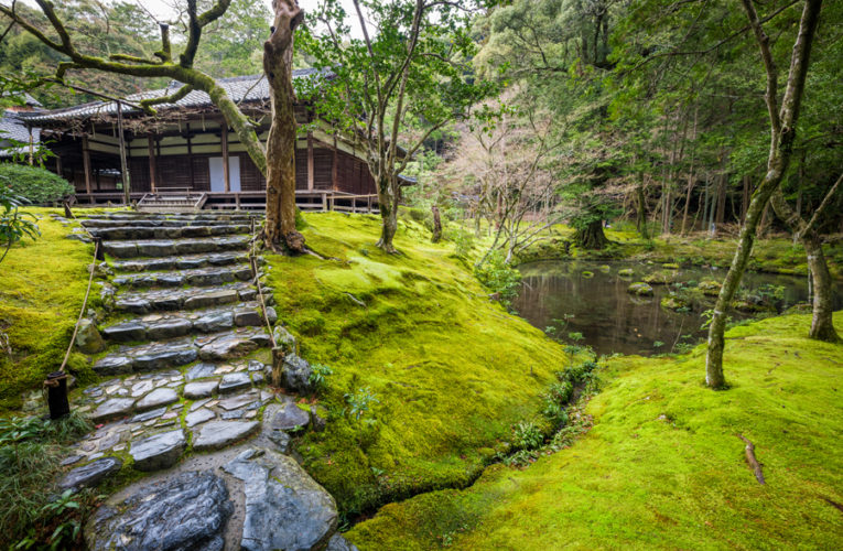 Kyoto's Moss Temple: Steve Jobs' Favorite Place in Japan - Travel Caffeine