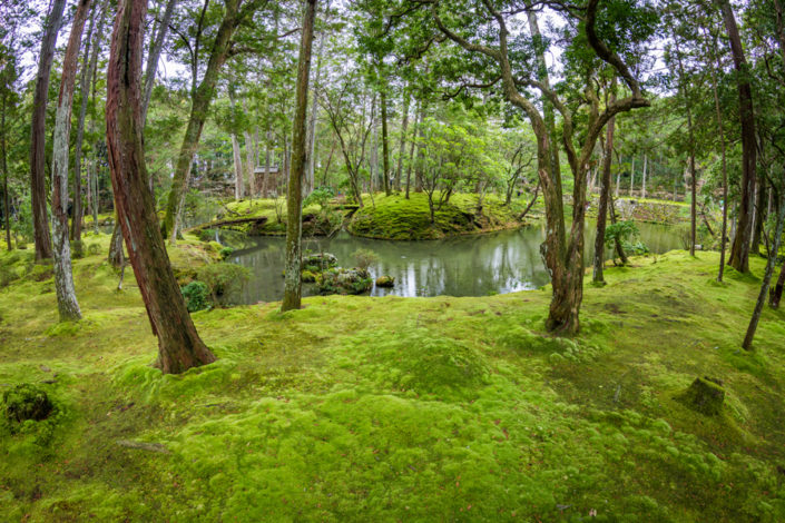 Kyoto's Moss Temple: Steve Jobs' Favorite Place in Japan - Travel Caffeine
