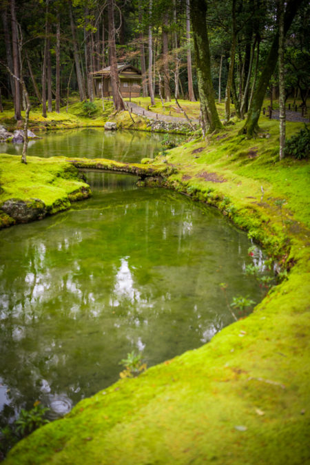 Kyoto's Moss Temple: Steve Jobs' Favorite Place in Japan - Travel Caffeine