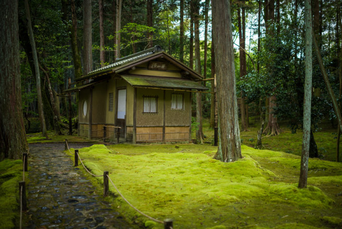 Kyoto's Moss Temple: Steve Jobs' Favorite Place in Japan - Travel Caffeine