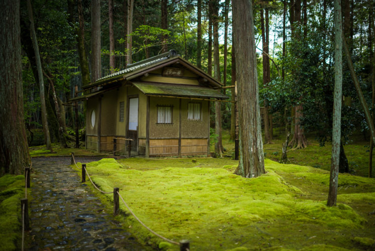 Kyoto's Moss Temple: Steve Jobs' Favorite Place in Japan - Travel Caffeine
