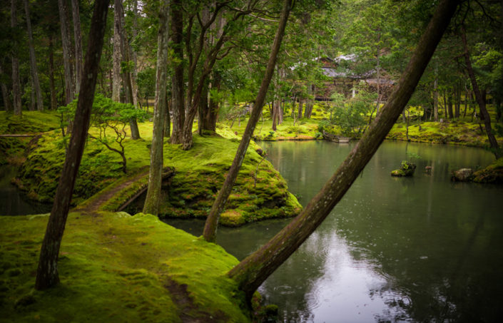 Kyoto's Moss Temple: Steve Jobs' Favorite Place in Japan - Travel Caffeine