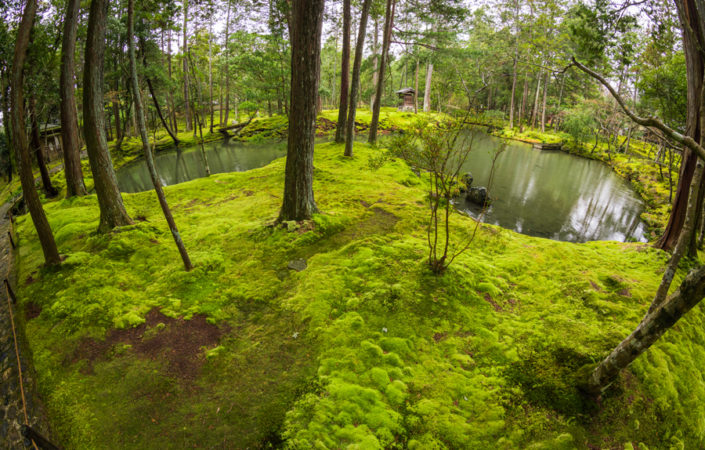 Kyoto's Moss Temple: Steve Jobs' Favorite Place in Japan - Travel Caffeine