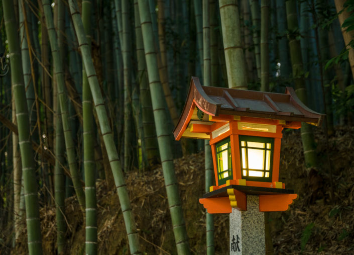 Secret Bamboo Forest of Fushimi Inari Shrine - Travel Caffeine