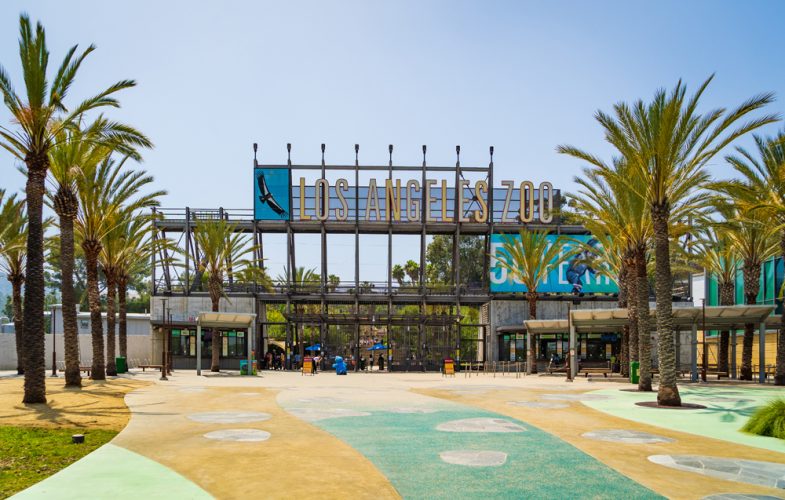 Los Angeles Zoo Review, Info & Tips - Travel Caffeine