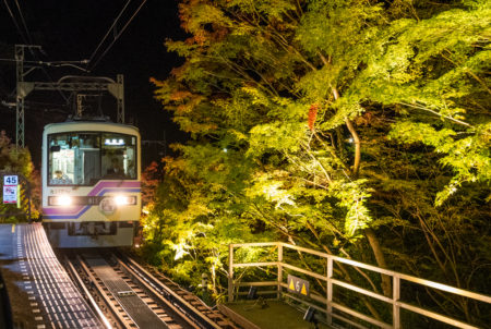 Japan Reopening to Individual Tourists: Rules & FAQ - Travel Caffeine