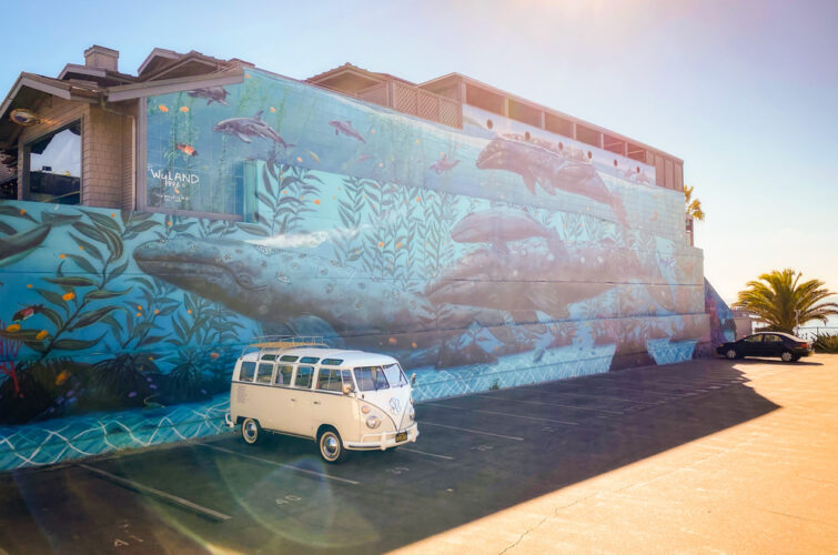 101 Best Things to Do in Laguna Beach, California - Travel Caffeine