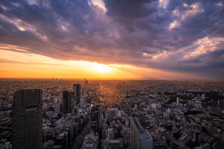 Shibuya Sky Review: Tokyo's Best Observation Deck - Travel Caffeine
