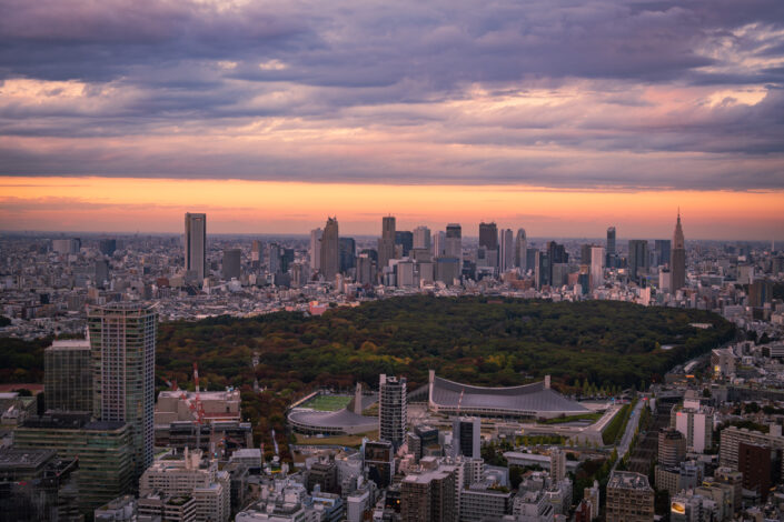 Shibuya Sky Review: Tokyo's Best Observation Deck - Travel Caffeine