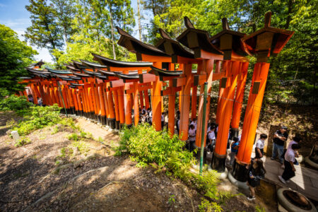 Kyoto Is Crowded. Here's How You Can Avoid Japan's Infamous Overtourism ...